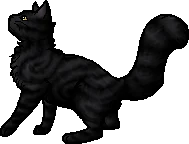 Hawkwing | Warriors Wiki | Fandom