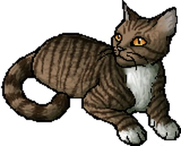 Leafpool Cat