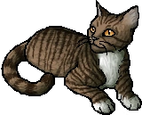 Leafpool | Warriors Wiki | Fandom