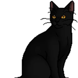 windclan cats list