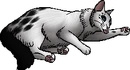 Darktail | Warriors Wiki | Fandom