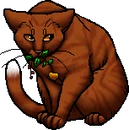 Alderheart | Warriors Wiki | Fandom