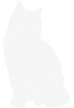 Harelight | Warriors Wiki | Fandom