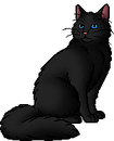 Mistystar | Warriors Wiki | Fandom