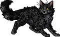 Graystripe Warriors Wiki Fandom