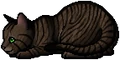 Tawnypelt | Warriors Wiki | Fandom