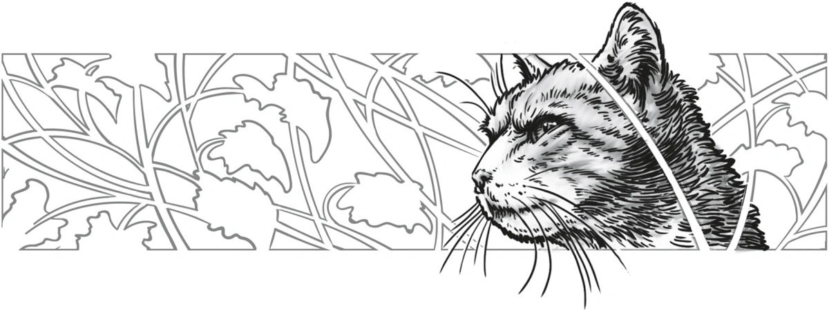 A Light in the Mist (book)/Chapter 19 | Warriors Wiki | Fandom