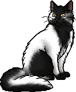 Violetshine | Warriors Wiki | Fandom