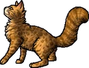 Leopardstar | Warriors Wiki | Fandom