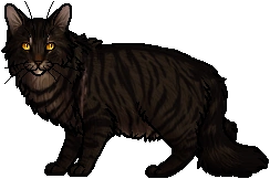 Gatos Guerreros Brambleclaw Zarzoso | Los Gatos Guerreros Wiki