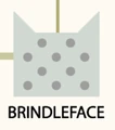 Brindleface | Warriors Wiki | Fandom
