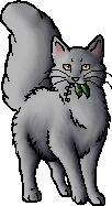 Featherwhisker | Warriors Wiki | Fandom