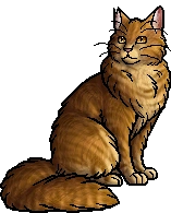 Lionblaze | Warriors Wiki | Fandom