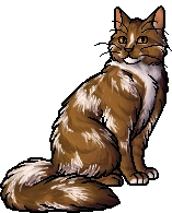 Sunbeam | Warriors Wiki | Fandom