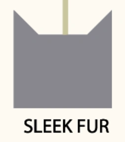 Sleek Fur | Warriors Wiki | Fandom