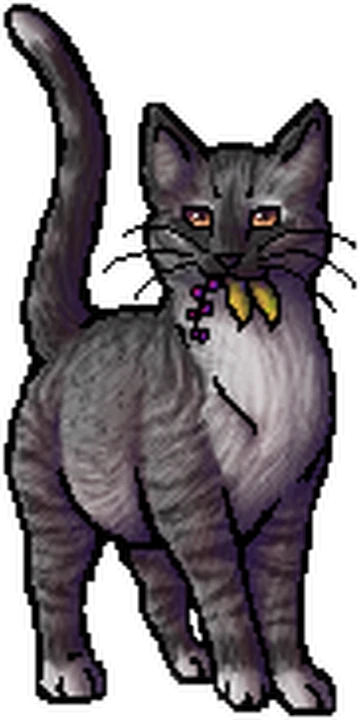 Breezechaser Warrior Cats Rpg Wiki Fandom Breezepelt | Warriors Wiki