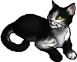Patchpelt | Warriors Wiki | Fandom