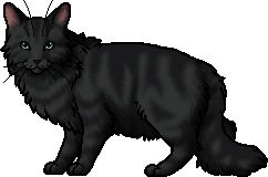 Warriors Wiki talk:Charart/Accepted 306 | Warriors Wiki | Fandom