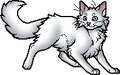 Cloudtail | Warriors Wiki | Fandom