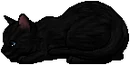 Jackdaw's Cry | Warriors Wiki | Fandom