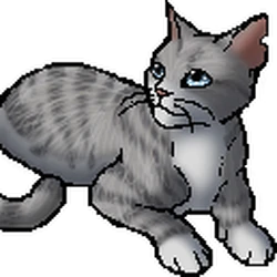 kit warrior cats