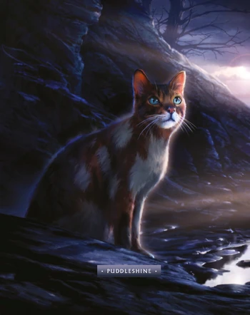 Puddleshine | Warriors Wiki | Fandom