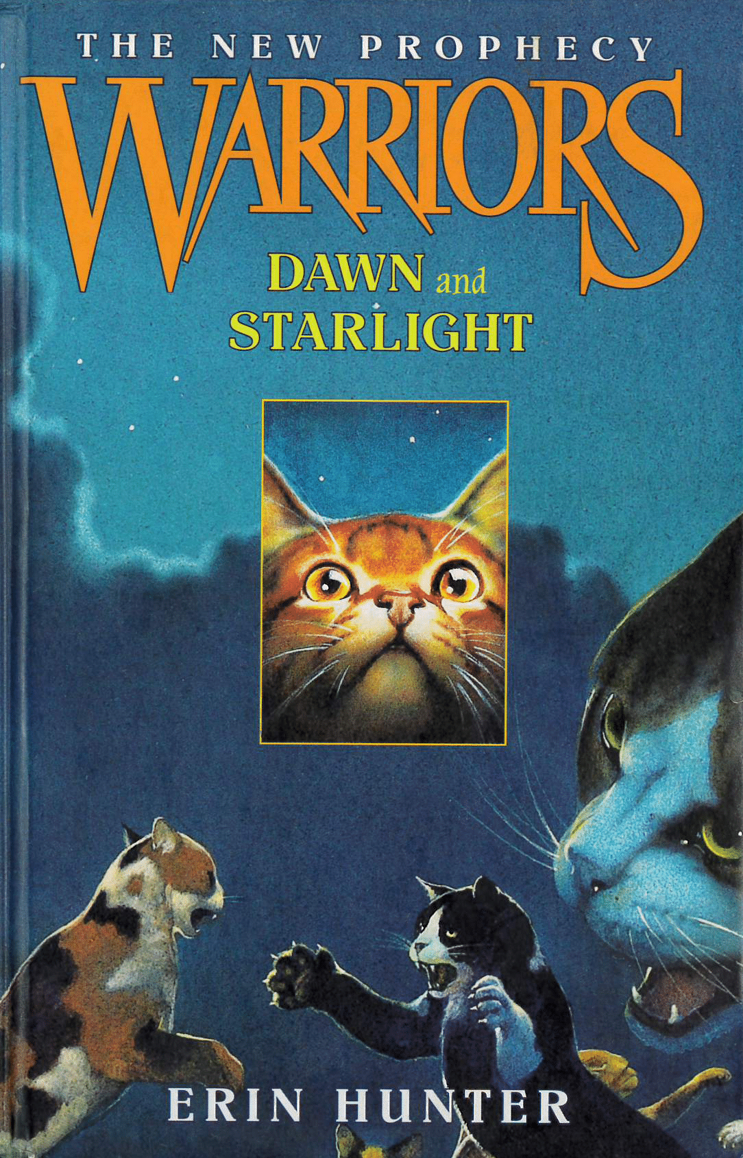 Dawn & Starlight | Warriors Wiki | Fandom