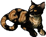 Newtspeck | Warriors Wiki | Fandom