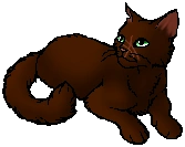 Pinestar | Warriors Wiki | Fandom