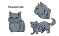 Yellowfang | Warriors Wiki | Fandom