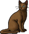 Mousefur | Warriors Wiki | Fandom