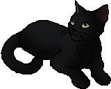 Nightstar (ShC) | Warriors Wiki | Fandom