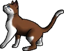 Brightwhisker | Warriors Wiki | Fandom