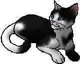 Smallstar | Warriors Wiki | Fandom