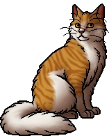 Mapleshade Warriors Fanfiction