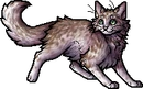 Pebbleshine | Warriors Wiki | Fandom