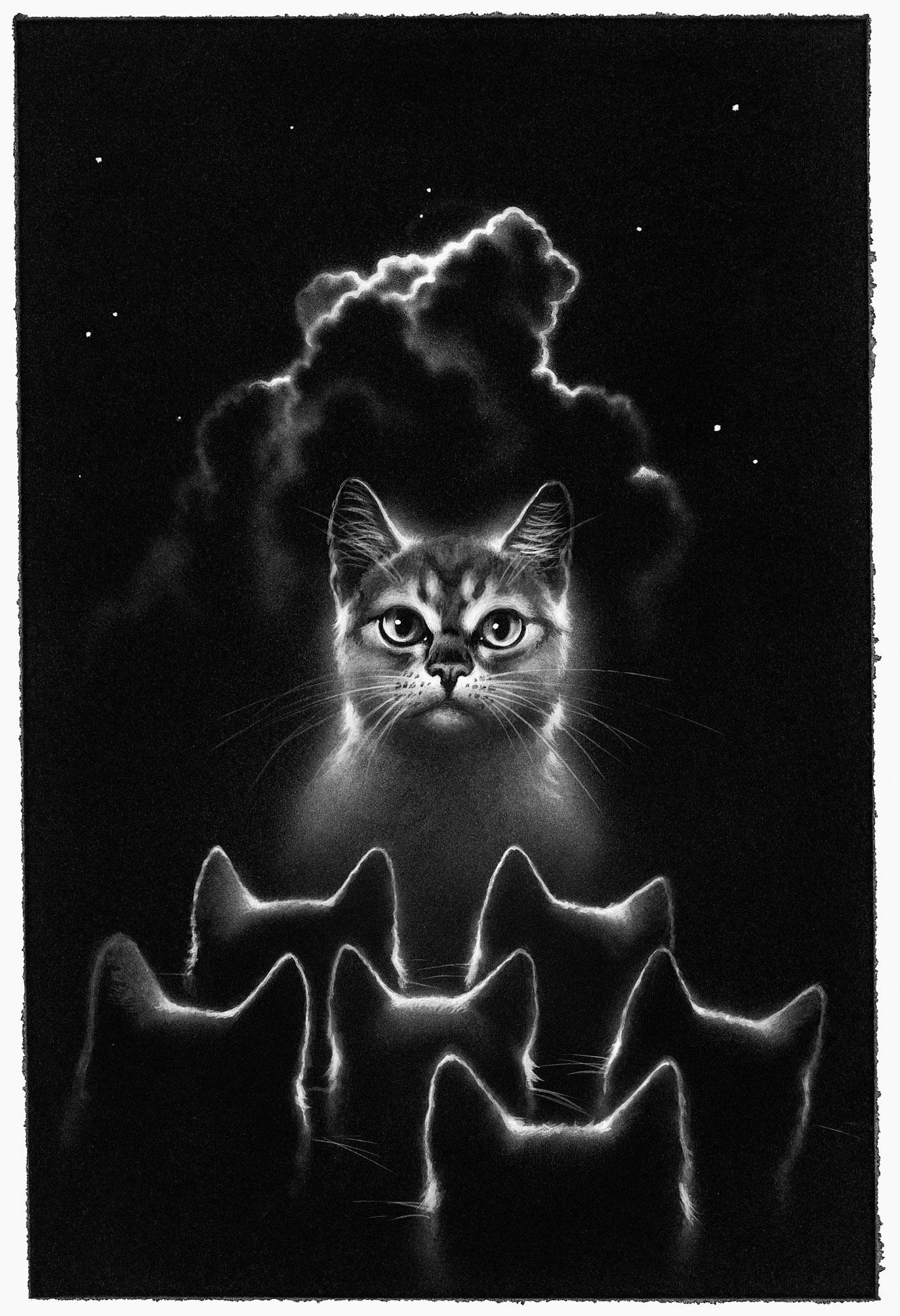 Founding of the Clans | Warriors Wiki | Fandom