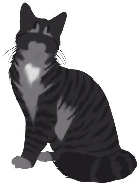 Pebble Heart | Warriors Wiki | Fandom