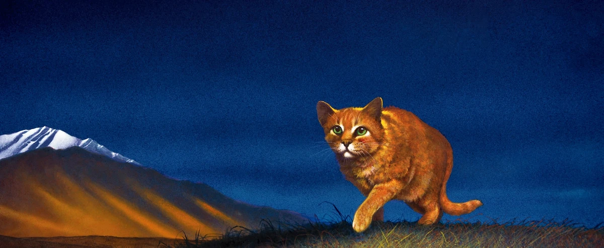 Category:Firestar's Quest | Warriors Wiki | Fandom