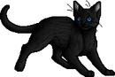 Crowfeather | Warriors Wiki | Fandom