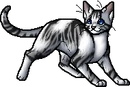 Ivypool | Warriors Wiki | Fandom