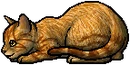 Snaketooth (ShC) | Warriors Wiki | Fandom