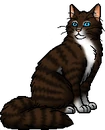 Hawkfrost | Warriors Wiki | Fandom