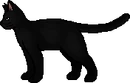 Jackdaw's Cry | Warriors Wiki | Fandom