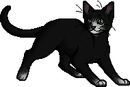 Molepaw (TNP) | Warriors Wiki | Fandom
