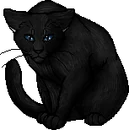 Crowfeather | Warriors Wiki | Fandom