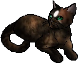 Sunstrike | Warriors Wiki | Fandom