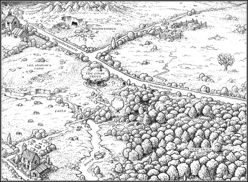 The forest territories | Warriors Wiki | Fandom