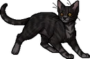 Nightheart (ASC) | Warriors Wiki | Fandom
