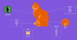 Warrior Cats website | Warriors Wiki | Fandom